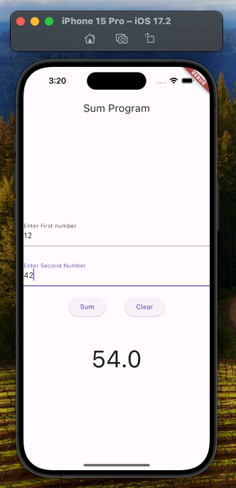 Flutter: Subtraction of 2 Numbers | by narendardiscover | Medium