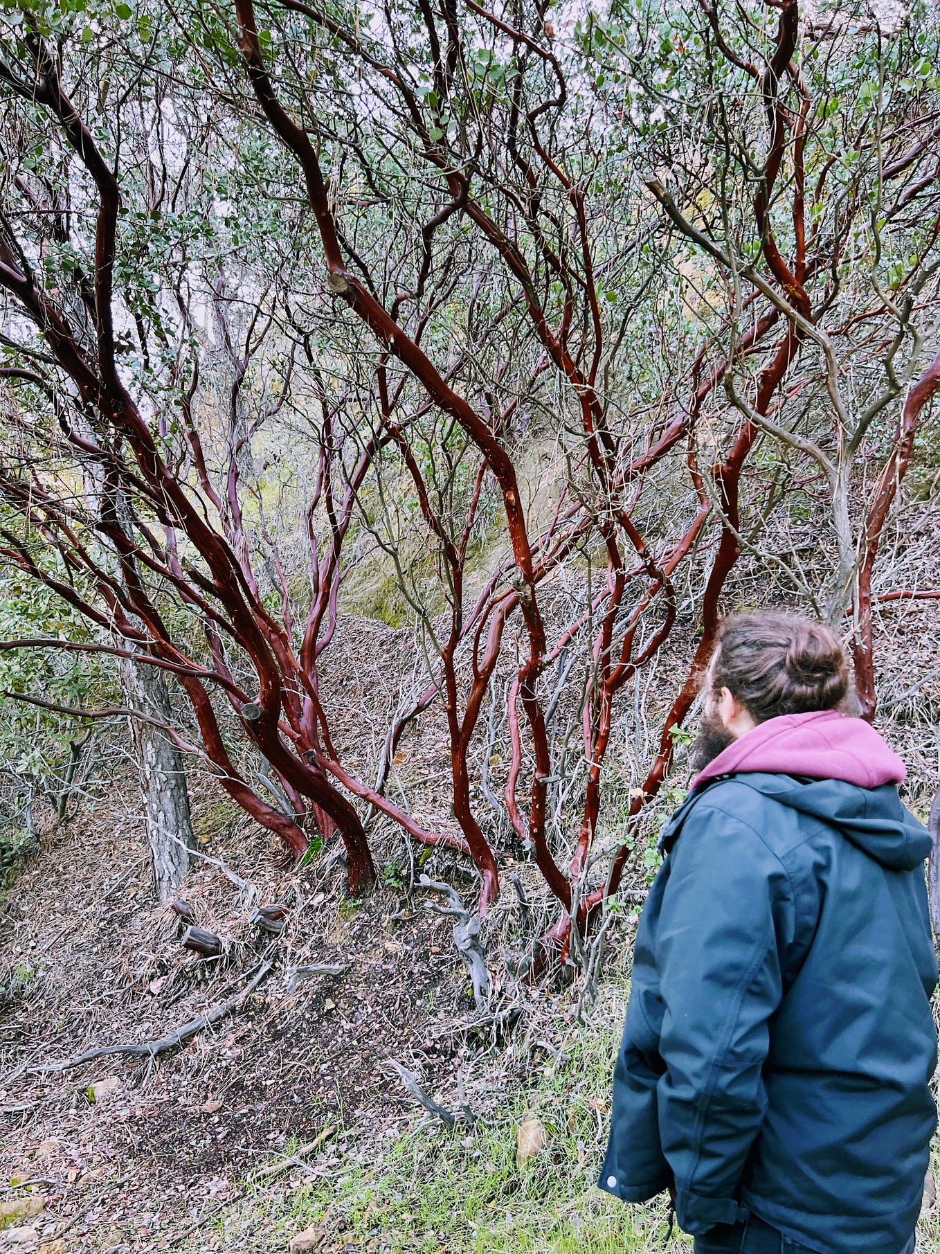 Beyond the Goo. Today, I was listening to a lecture on… | by Katie ...