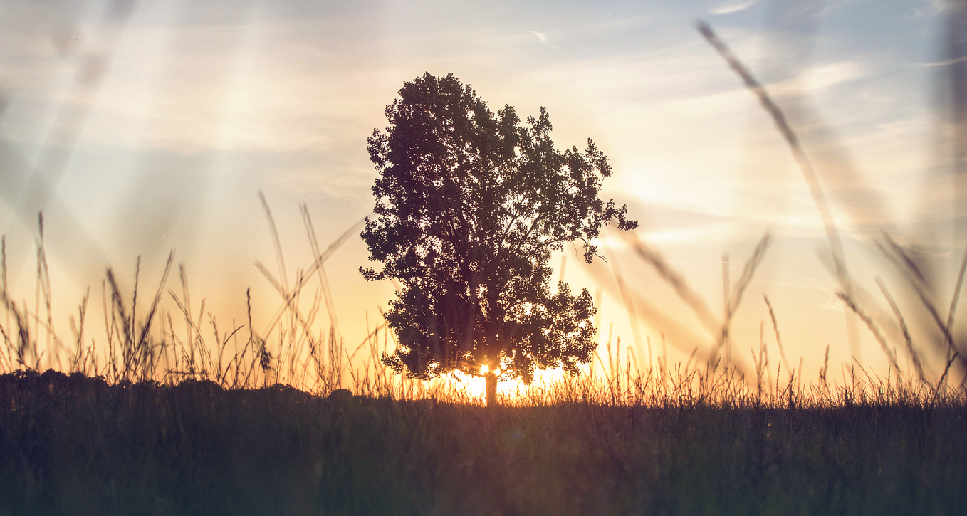 The Captain’s Daughter. A modern parable about fear | by Jake Bouma ...