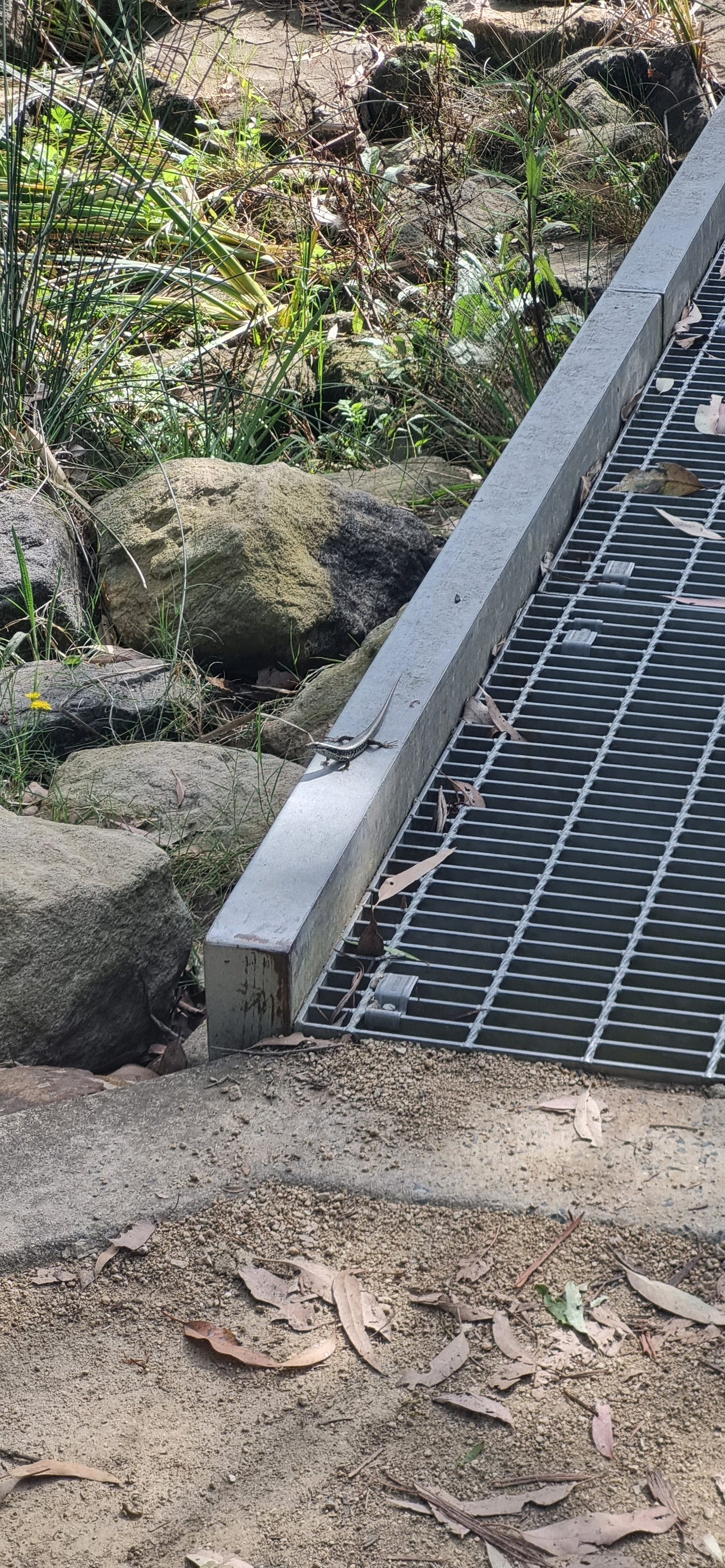 I cracked Pure OCD subtypes. Open Sourcing this info. | by Healing with Uland Benzel | Pure ...