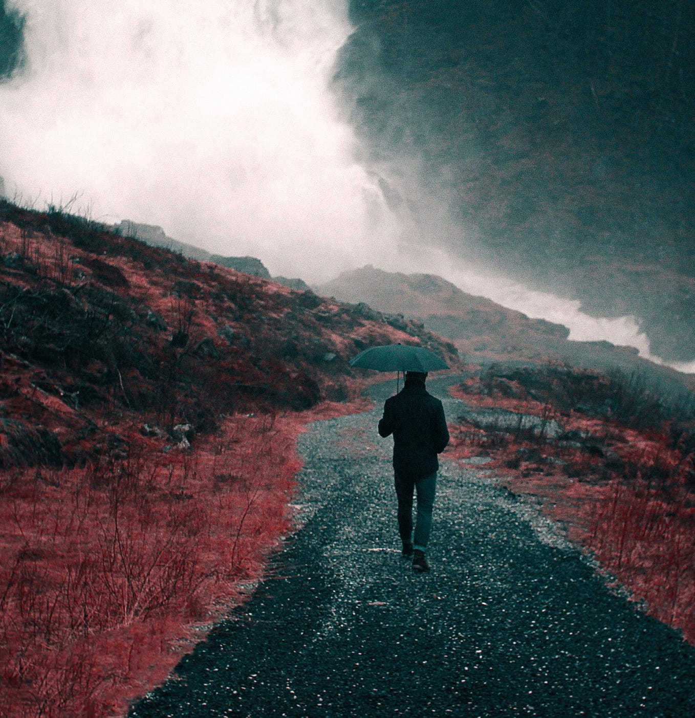 The Power of Powerlessness. Powerlessness is much misunderstood… | by ...