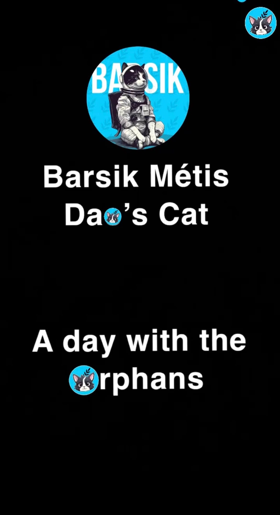 Barsik Token Migration & Rebrand. Important Announcement: | by Barsik Metis cat | Aug, 2024 | Medium