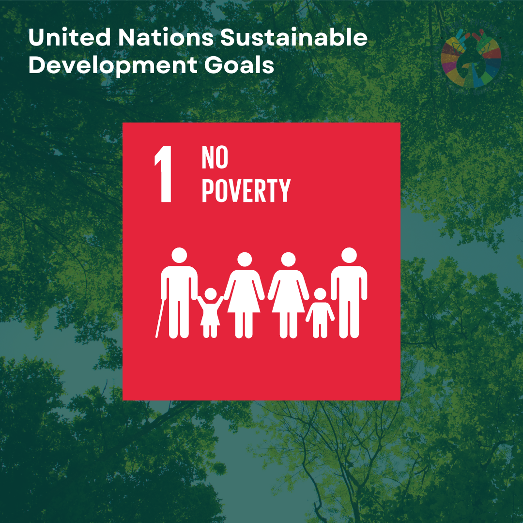 Empowering Change-Makers: UPG’s Role in Tribe Phoenix’s Pursuit of Sustainability | by Awande ...