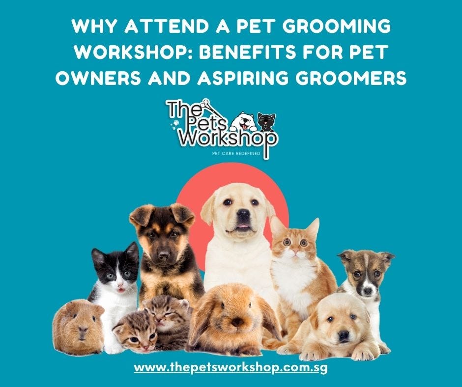 Why Attend a Pet Grooming Workshop: Benefits for Pet Owners and ...