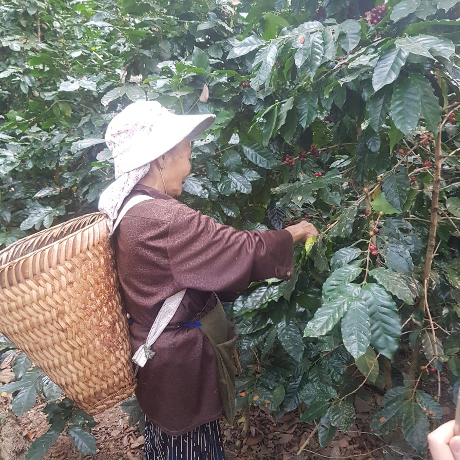 Laos Week 1: Landed and Learning. Well, I made it to Laos. | by Ben ...
