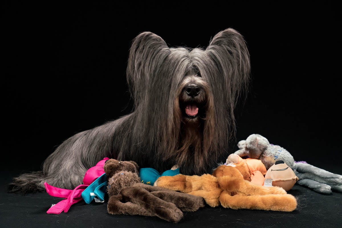 What makes photography so expensive? | by Fred Levy | Medium