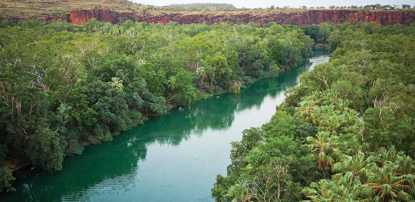 How To Book Charleville Bilby Experience Tour in Queensland? | by ...