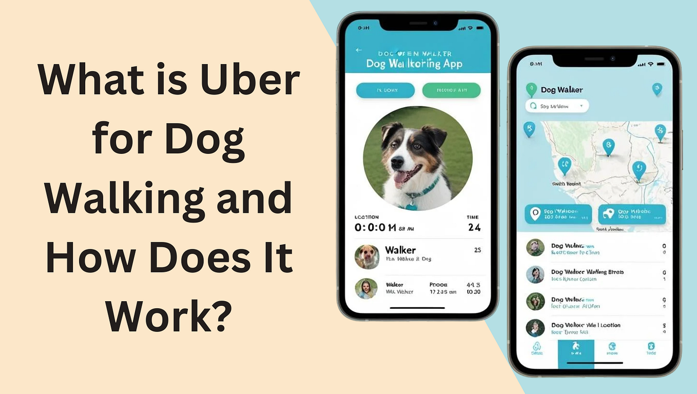What is a TikTok Clone? Features, Development Cost | by Simon leo | Feb ...