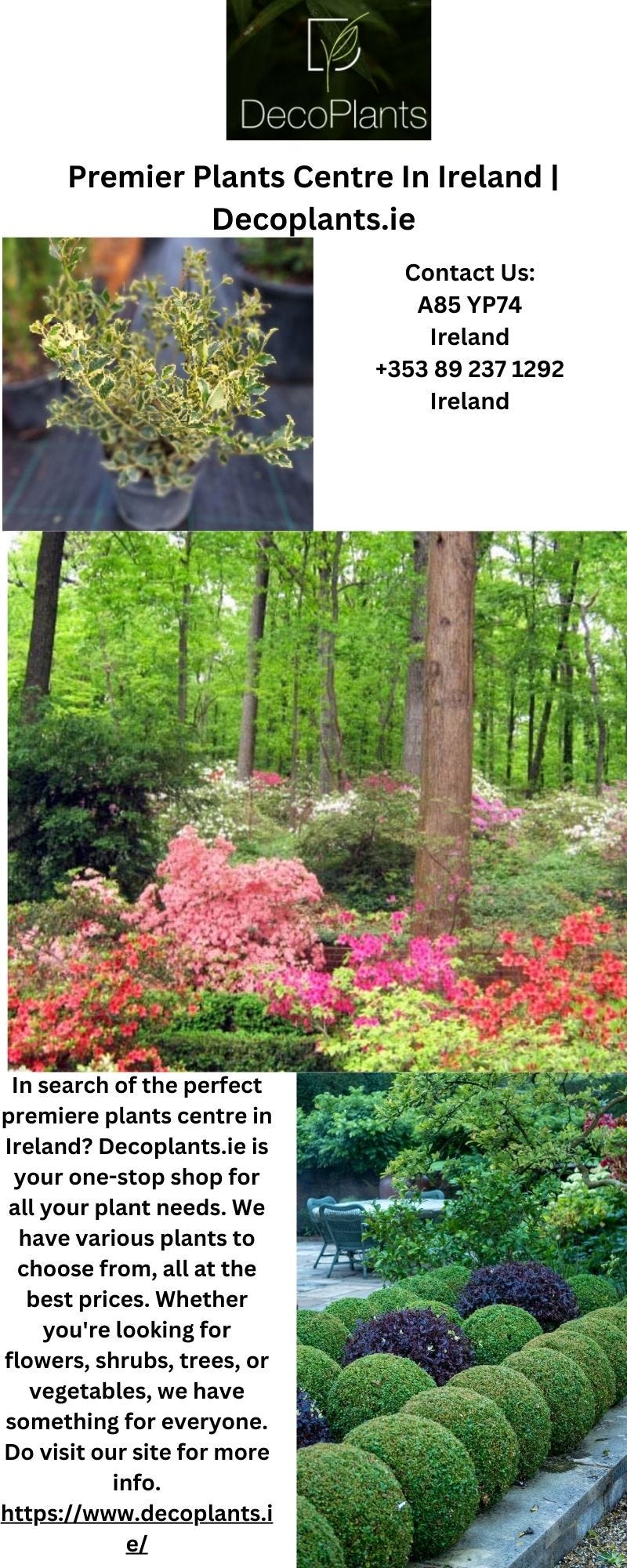 Garden Centre In Ireland | Decoplants.ie - Decoplantsie - Medium