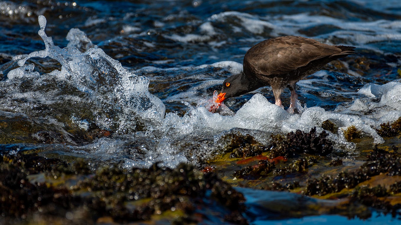 Acquire and Visualize US Inflation Data with the BLS API, Python, and Tableau | by Randy Runtsch ...