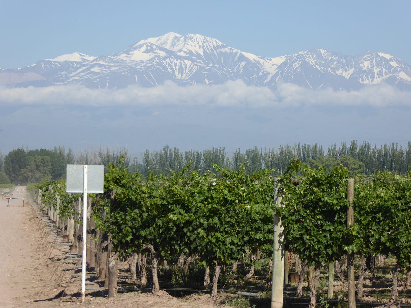 Travelling with wine: A very pleasant experience | by Fintan Kerr | Medium