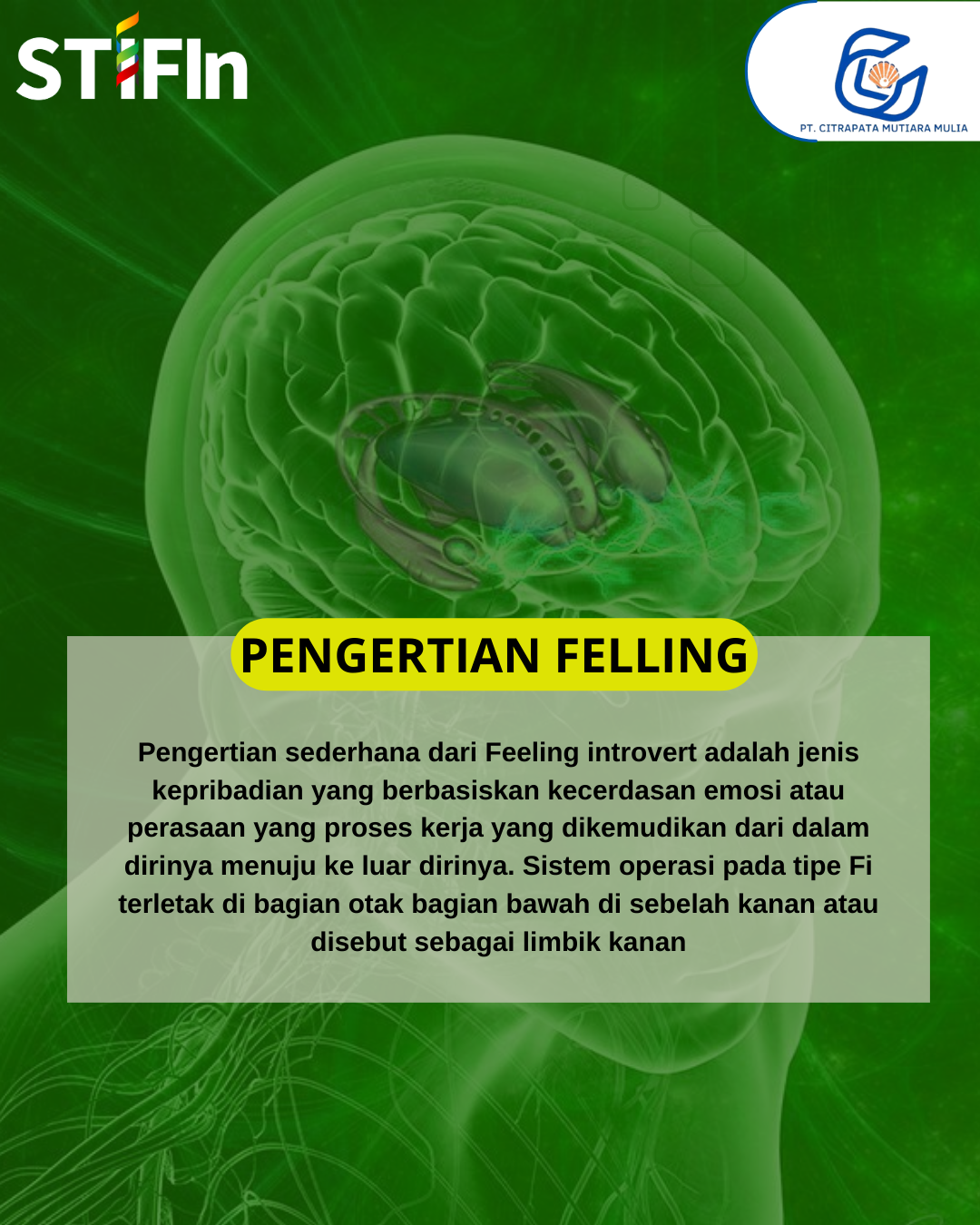 Tes minat bakat test sidik jari kepribadian - Stifin test minat bakat ...