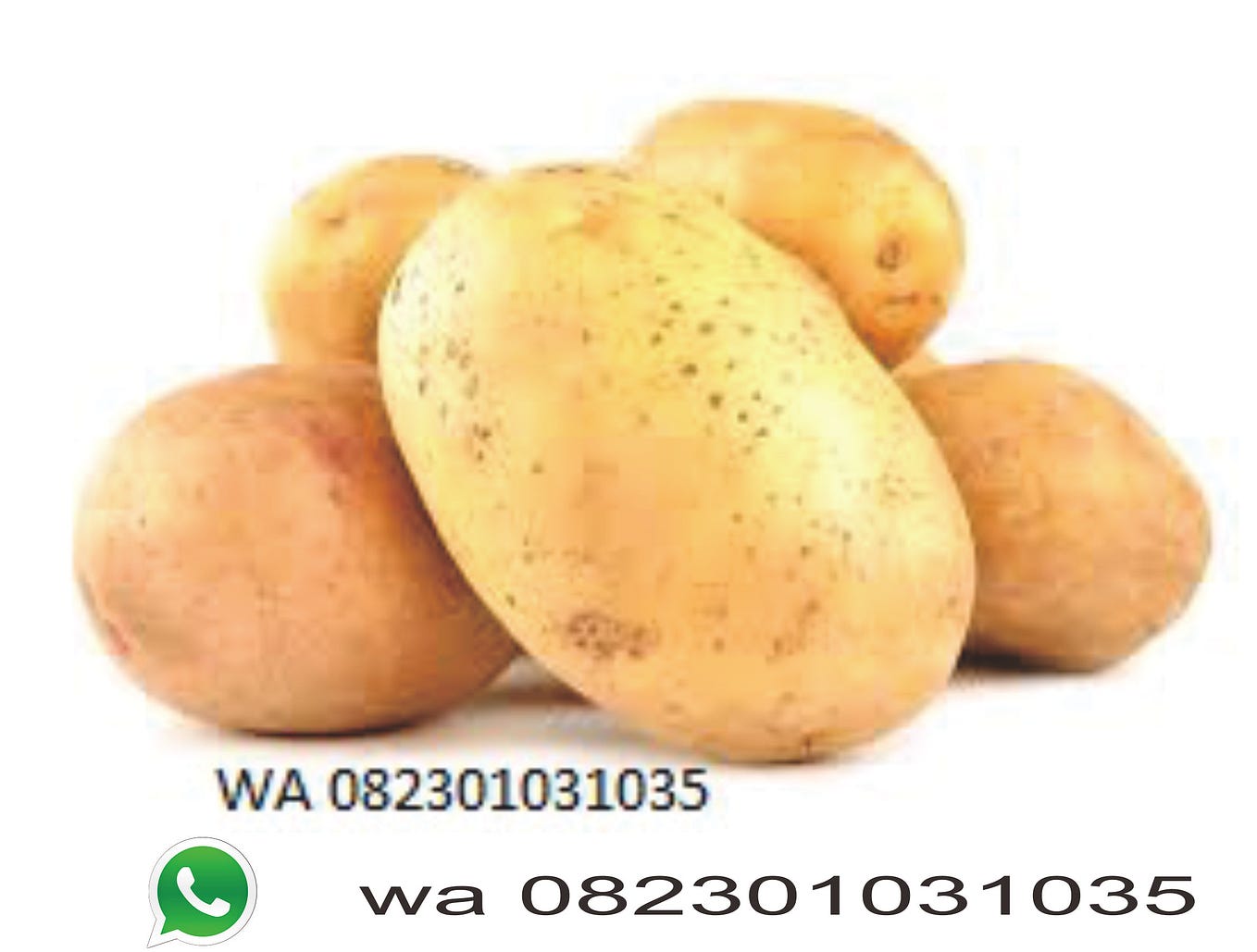 Jual kentang Sidoarjo. melayani penjualan kentang mentah… | by WA ...