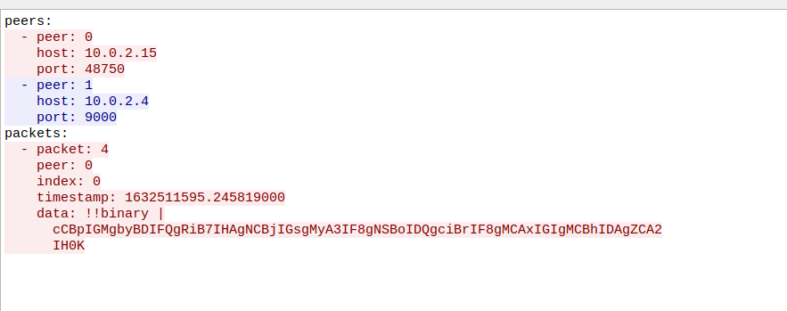 SideChannel -picoCTF. Category: Forensics | by Palkesh Jain | Jul, 2025 | Medium