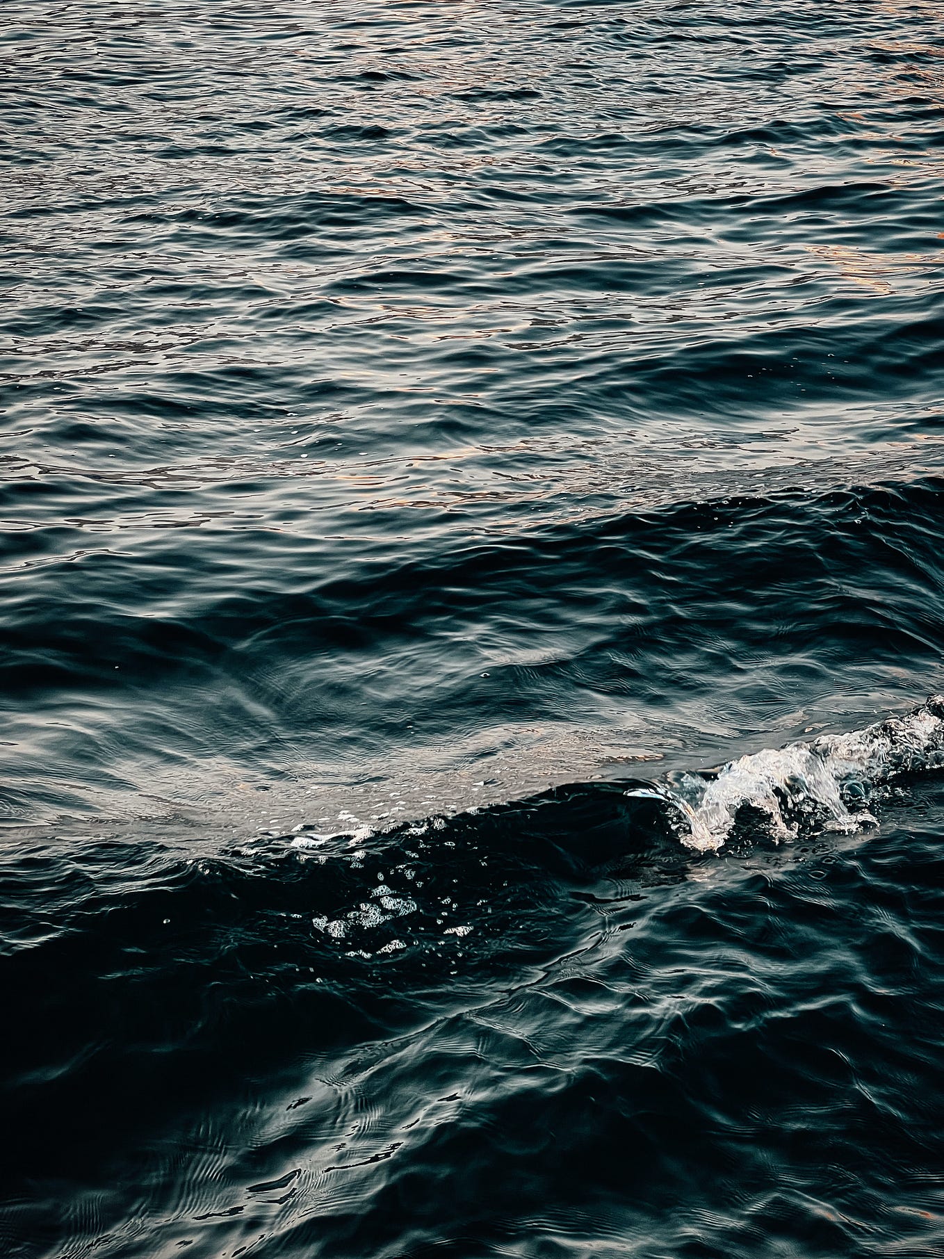 Containerize Python Redis Applications With Docker — Setting Up Redis