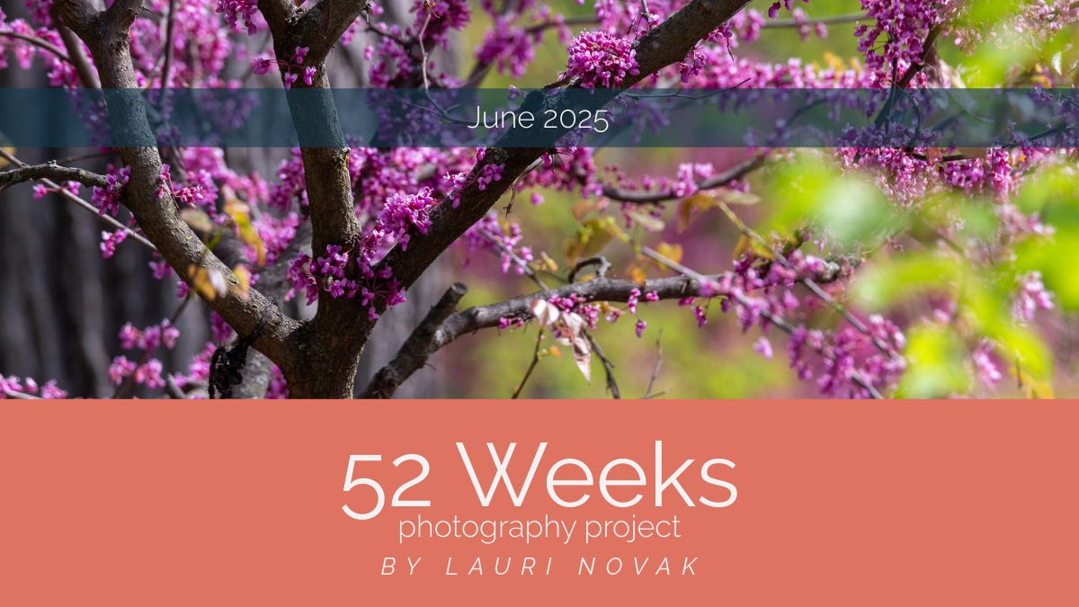 June Jubilee of Random Questions. Questions to ponder from Lynn L… | by ...