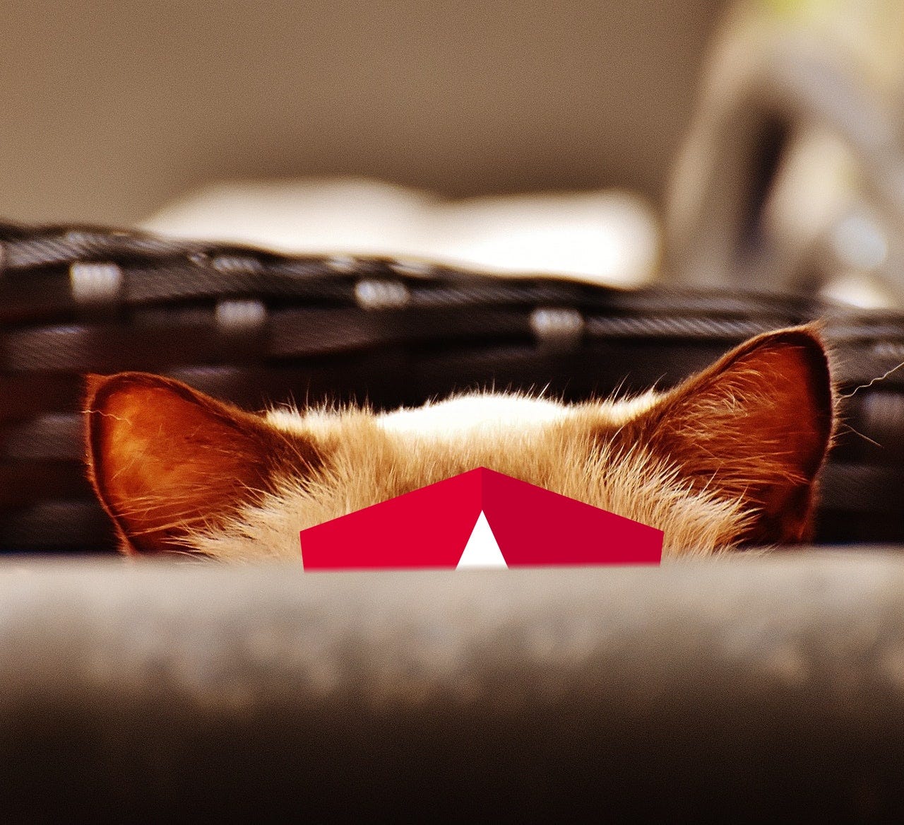 Four Ways Of Listening To Dom Events In Angular Part 3 Renderer2listen By Shijir Tsogoo