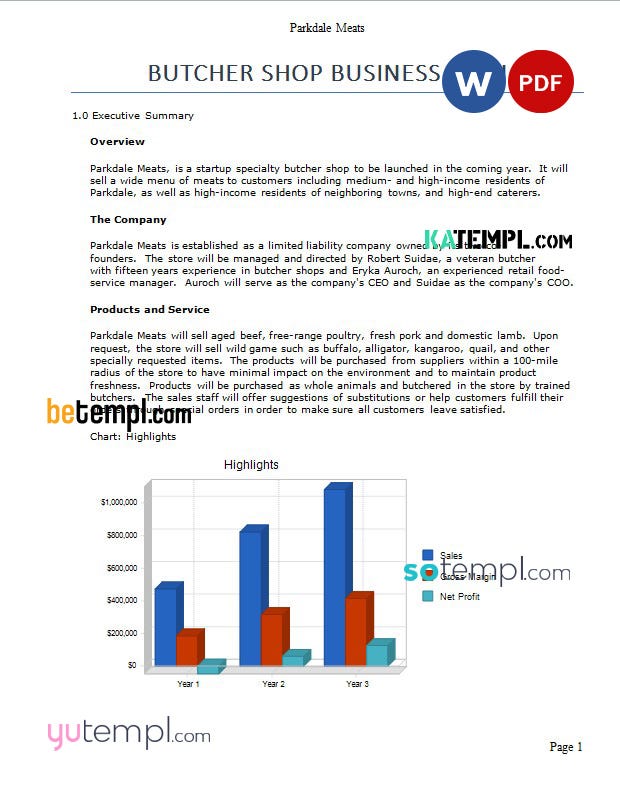 computer programming business plan template in Word and PDF formats ...