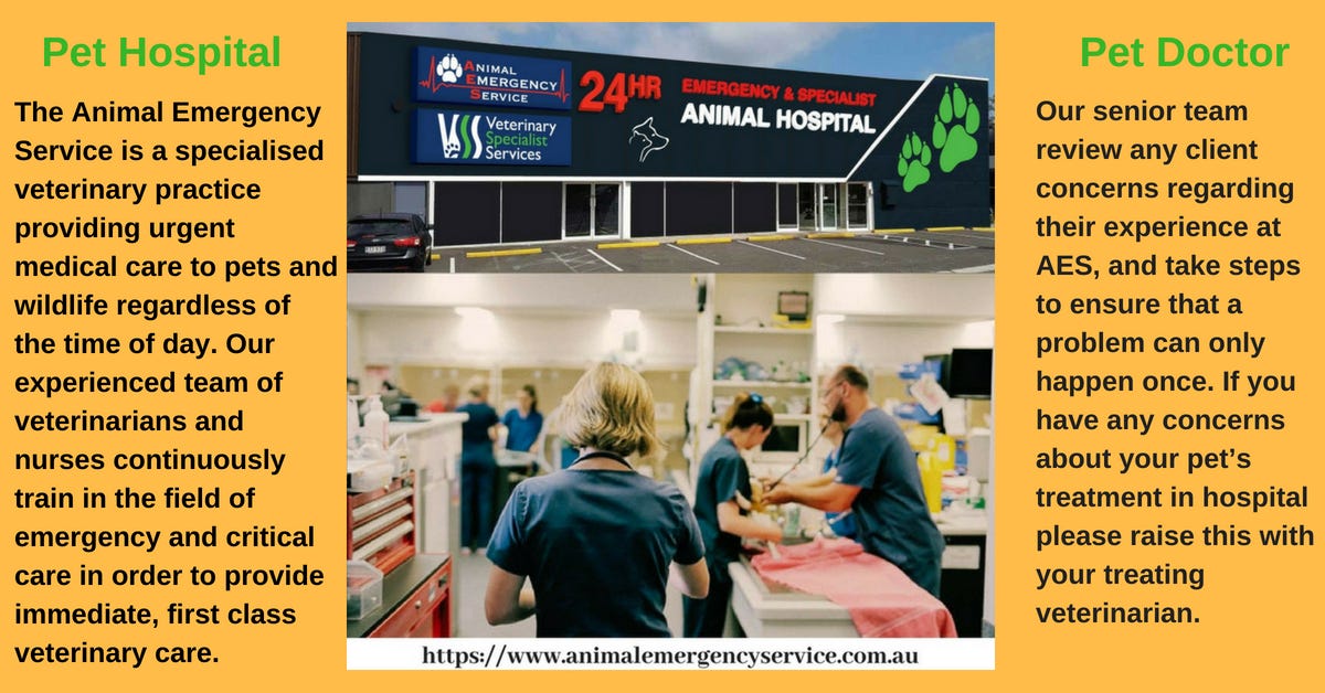 Vets Online. The Animal Emergency Service is a… | by Animal Emergency ...