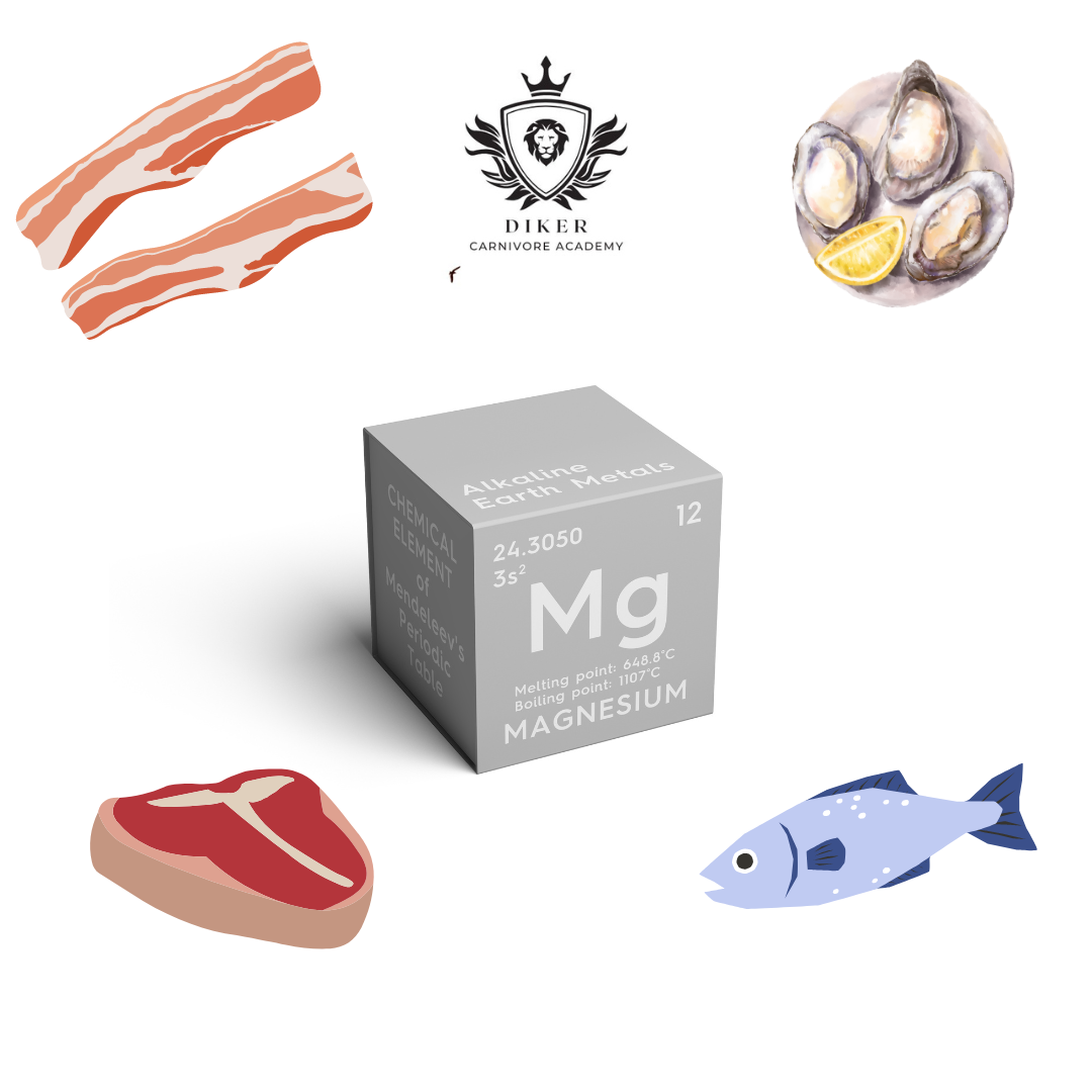 Carnivore Ketosis: A Step-by-Step Guide to Carnivore Diet | by Diker ...