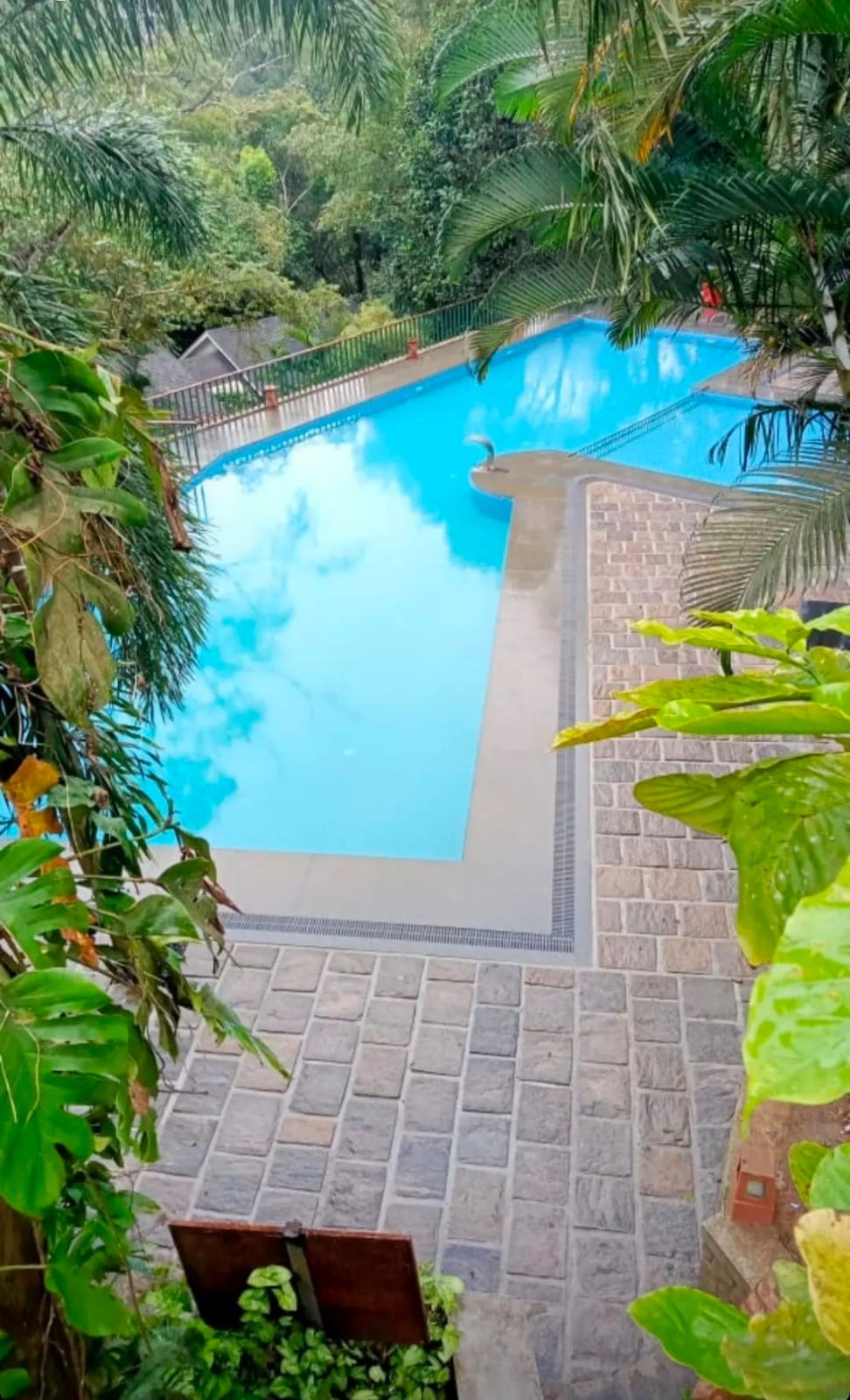 Silverwoods Resort: A hidden gem in the heart of Wayanad | by Wayanad ...