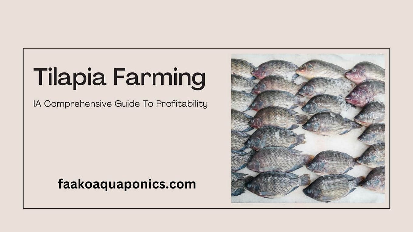 Best Aquaculture Courses. Fish farming is a lucrative business… | by ...
