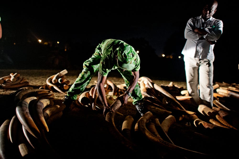 How Indigenous Peoples are helping deliver a 1.5°C future | by WWF ...