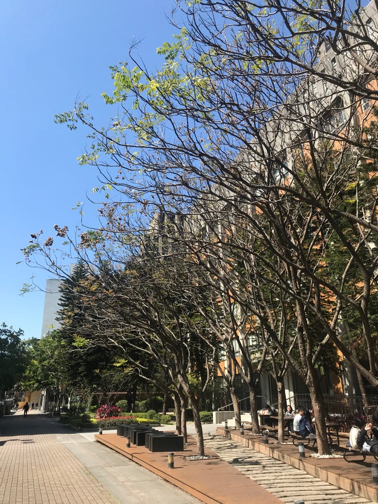 Life and Study at King’s College London MSc Data Science-English Version | by Ryan Lei | Medium