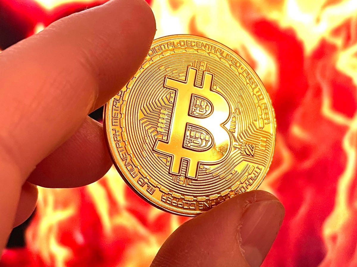 FAQ. A super secure value store and cash… | by BITGOLD BGD TOKEN | Medium