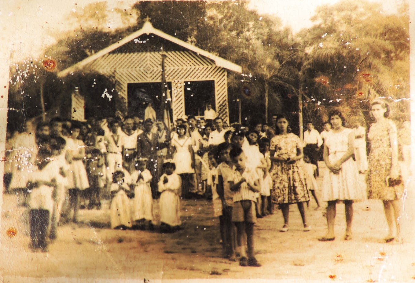Mulheres amazônidas. A partir da vivência que tenho com as… | by Moara Brasil | Medium