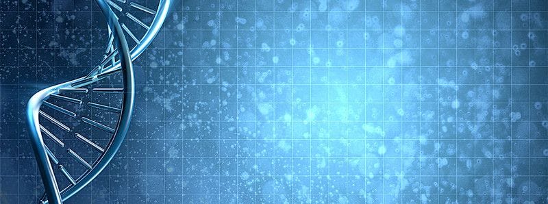 Evolving Perfection: How Genetic Algorithms Boost Handwritten Digits ...