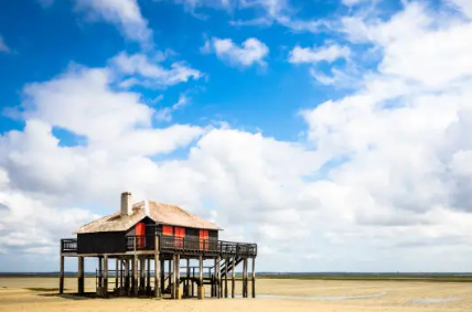 Beautify Flask Web App using CSS, HTML | by Yue Weng Mak | An Idea (by ...