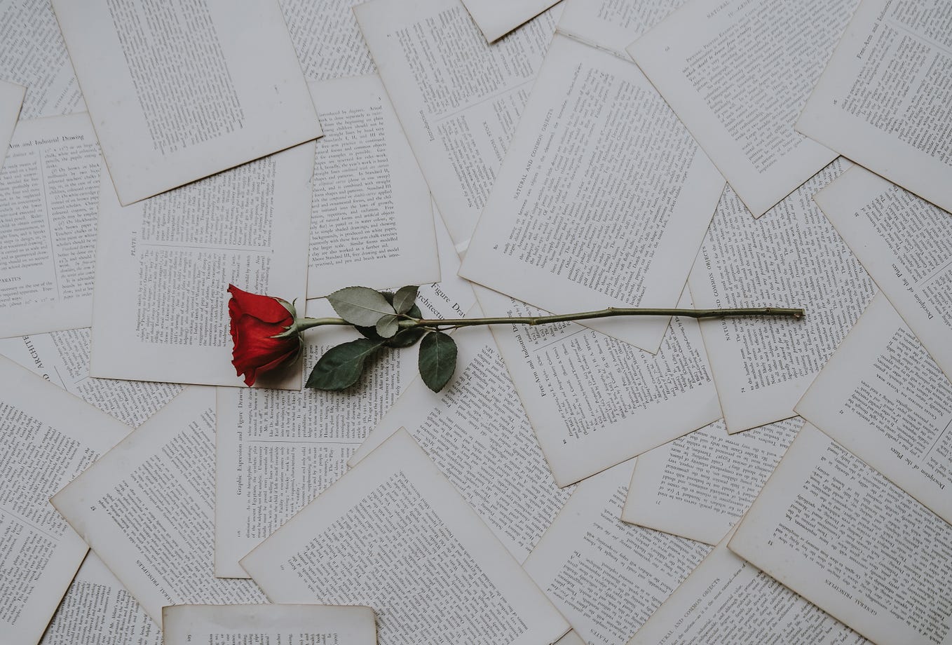NLP for Beginners: Cleaning & Preprocessing Text Data | by Rachel ... NLP for Beginners: Cleaning & Preprocessing Text Data | by Rachel ...