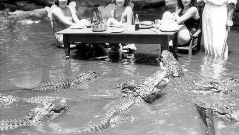 Face/Off. Originally published on a now-deceased… | by Emma Alamo | Medium