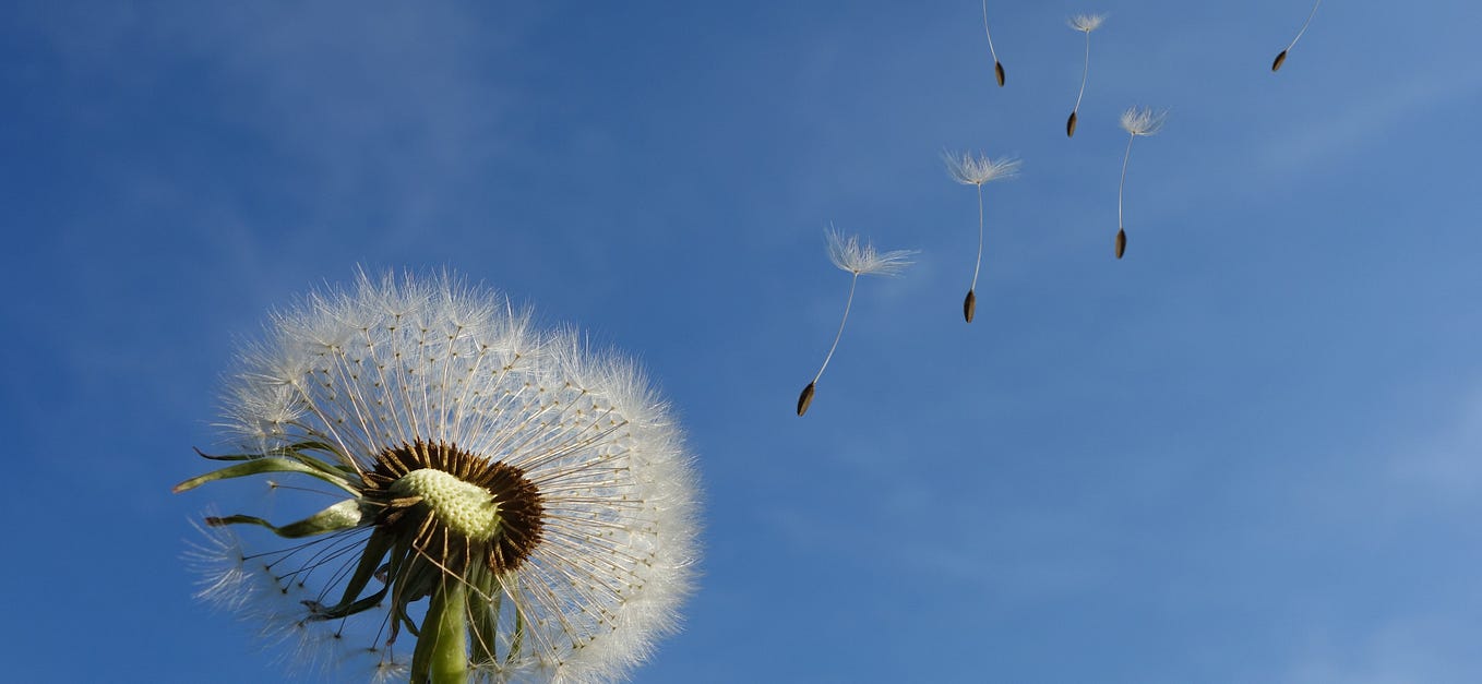 Static dependency injection in Java | by Jenetics | Medium