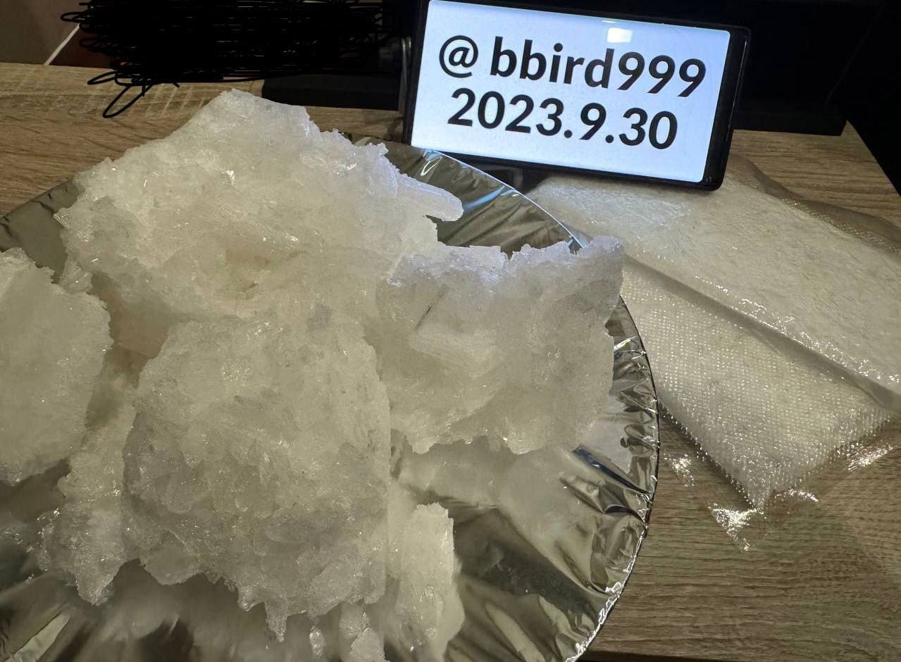 인증채널 T Me Bbird9999찬술 시원한술 차가운술 아이스 파랑새 작대기 얼음술 사끼 빙두 케이 캔디
