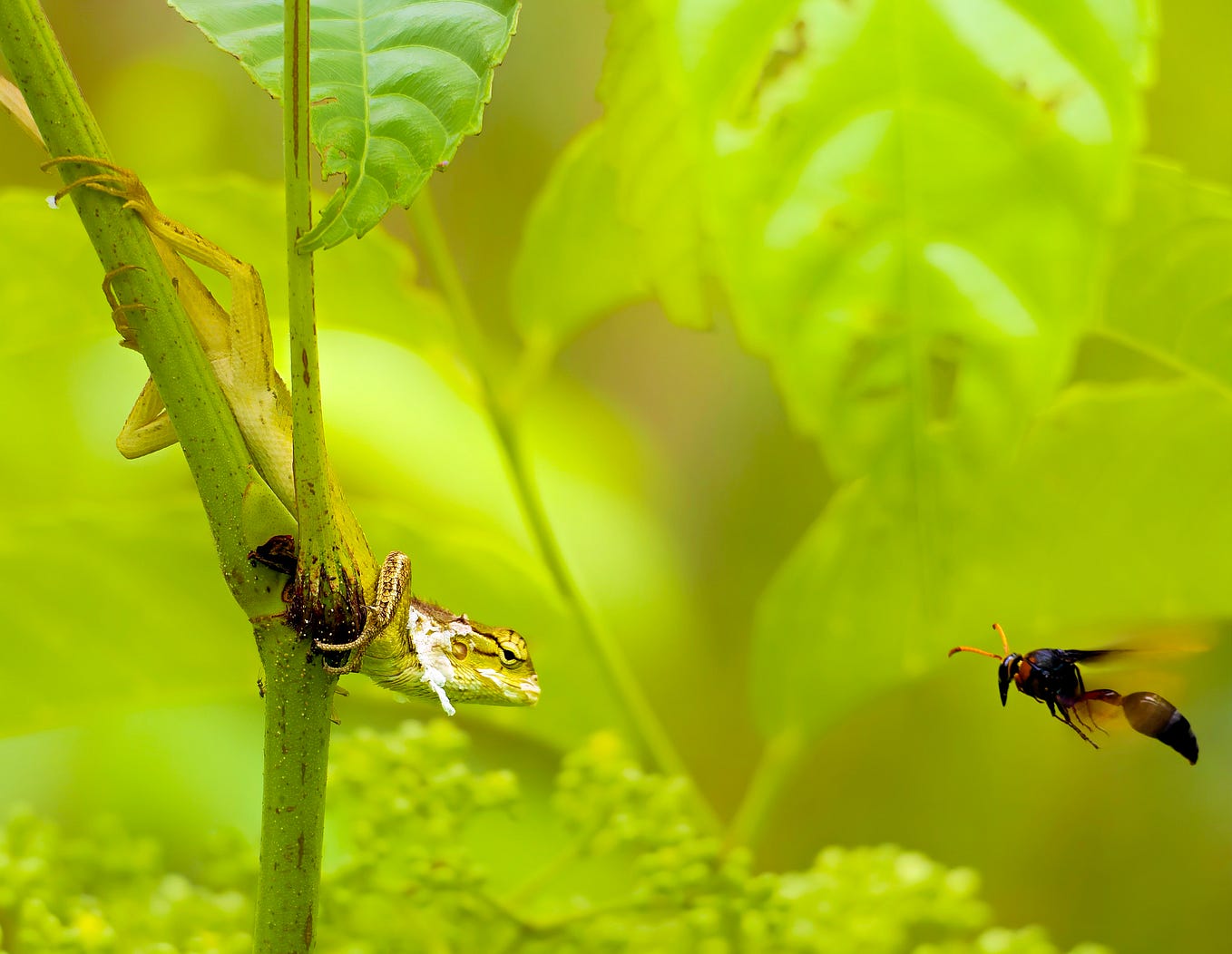 Amazing. I would have never imagined a kid replying that way. Kids today seem to grow up so ...