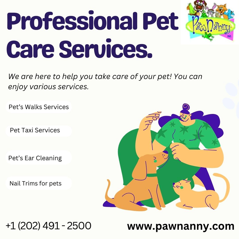 The Ultimate Guide to the Best Services for Pet Care. | by Pawnanny Petcare - Mid day Dog ...