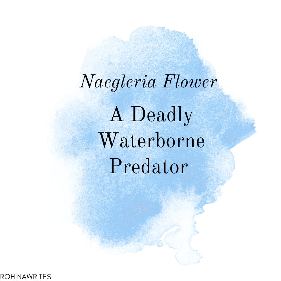 Python for Biologists: Transforming Data into Insights" | by Rohinaarif ...