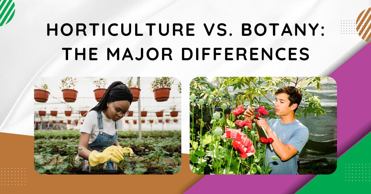 What are Horticultural Societies: Meaning, Characteristics, and more ...