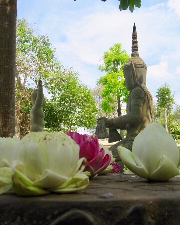 Simple profile screen with Flutter | by Leonardo Palmeiro | Medium