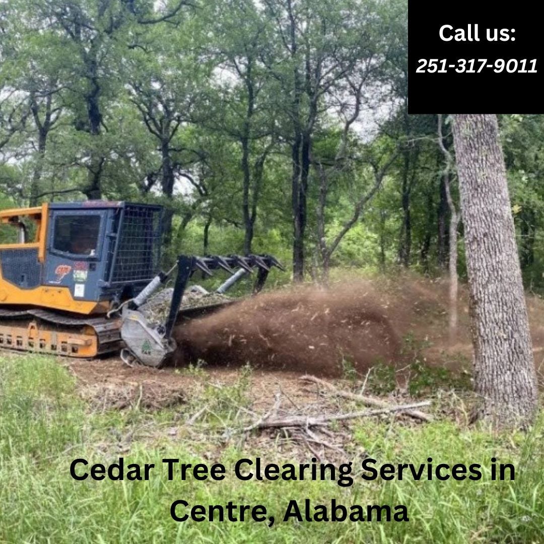 How to Plan Your Land Clearing in Jemison, Alabama: A Simple Step-by ...