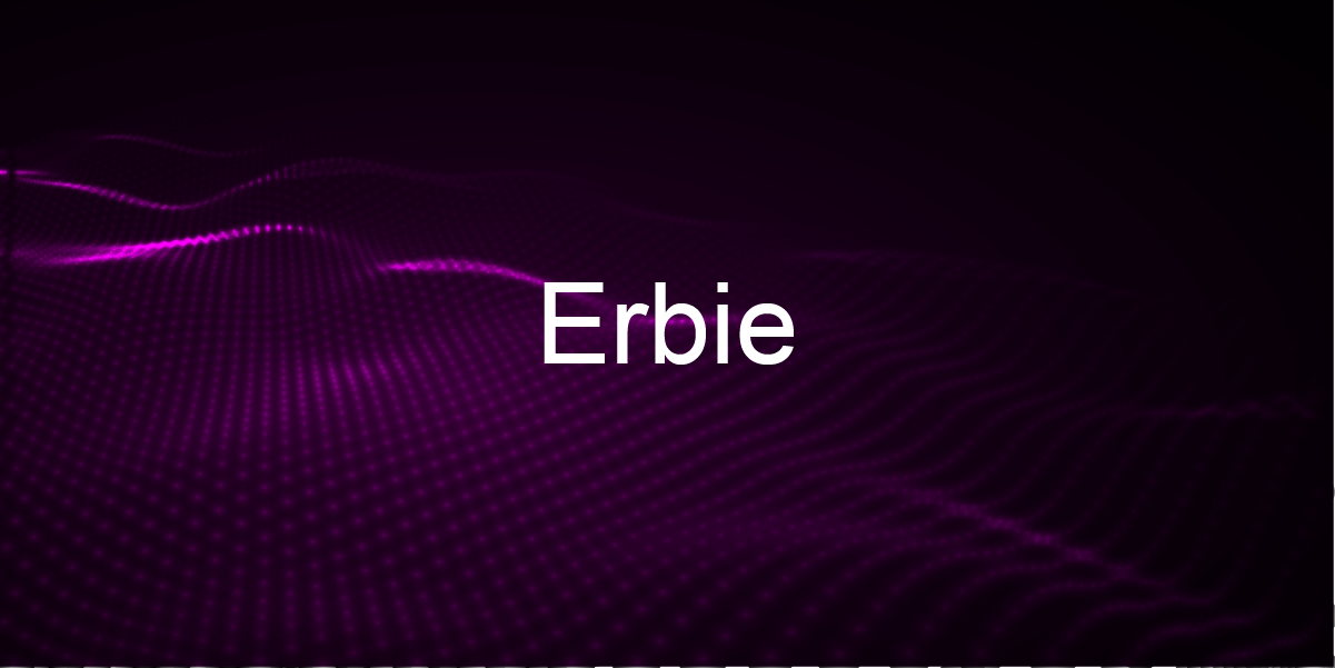 ErbieChain Latest Adjustment. Regarding the Update of Erbie | by Erbie ...