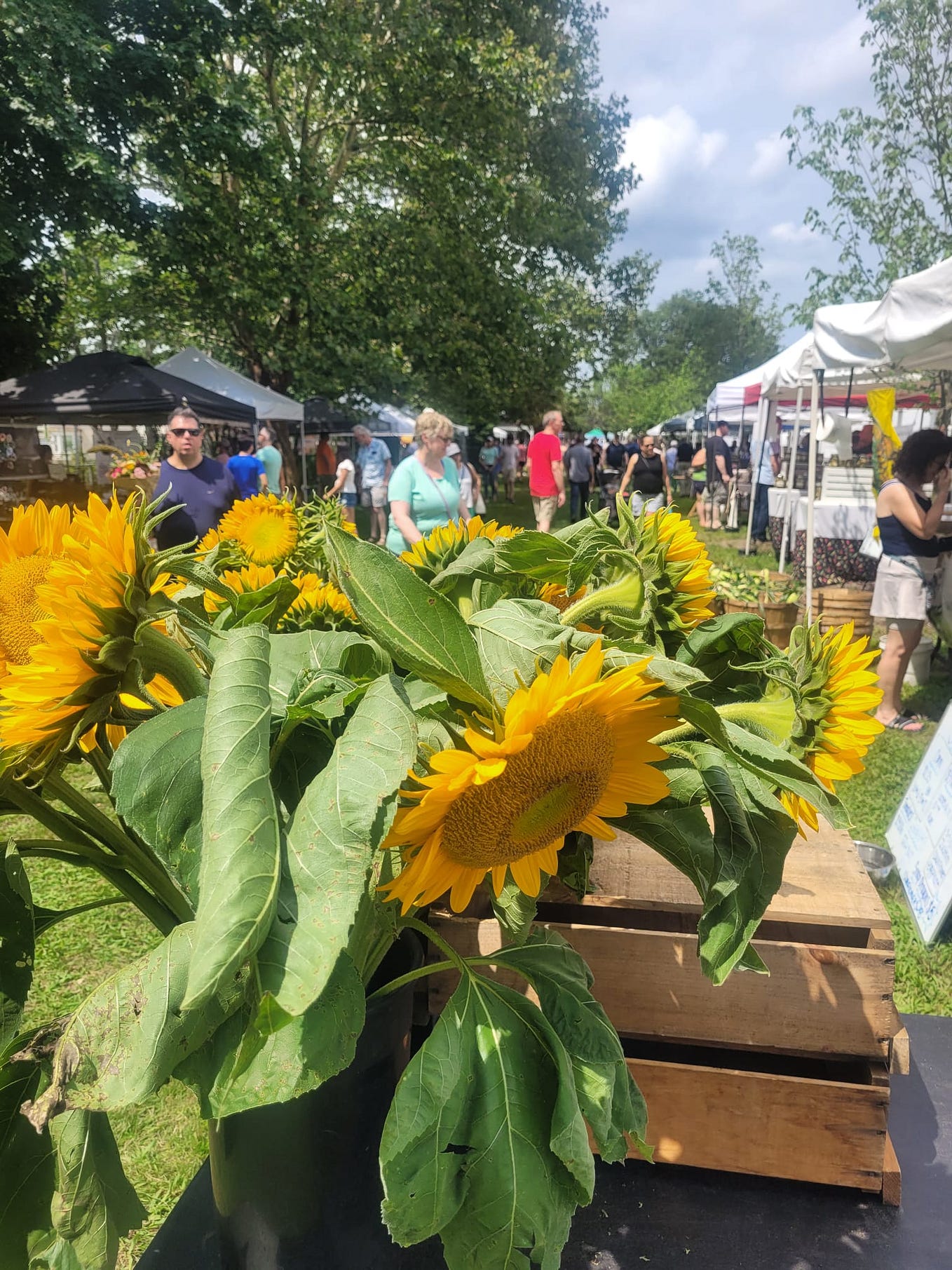 Musings on “exurban”. During a recent windshield tour led by… | by ...