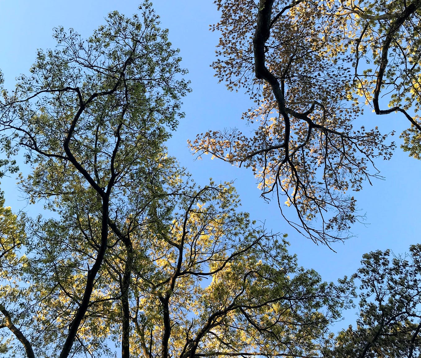 Text Classification Using Scikit Learn Pytorch And Tensorflow By Donglin Chen The Startup