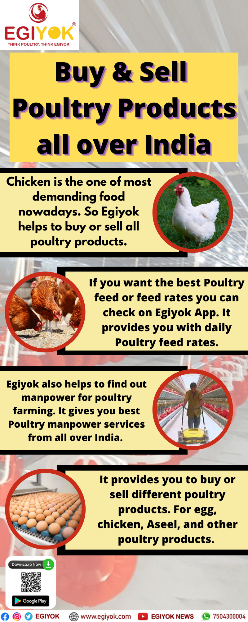 How to Buy and Sell Poultry products & services - Monika Egiyok - Medium