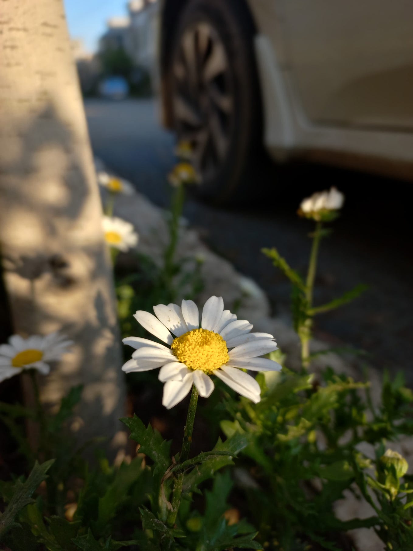 Turning Grass into Paper: A Sustainable Solution for a Greener Future | by Arfa Iqbal | Medium