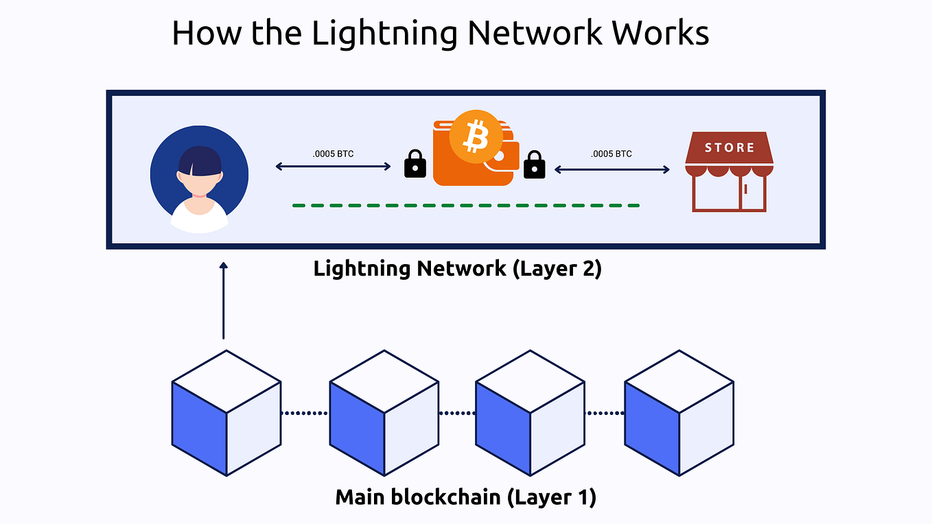 Simple Bitcoin Wallet in Python: A Step-by-Step Guide | by richarddushime | Medium