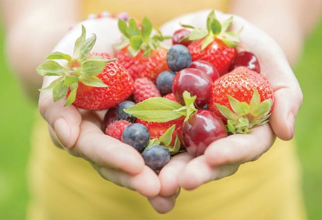 Mapleton Medical Center|Healthy Ideas That Will Help You Make Easy ...