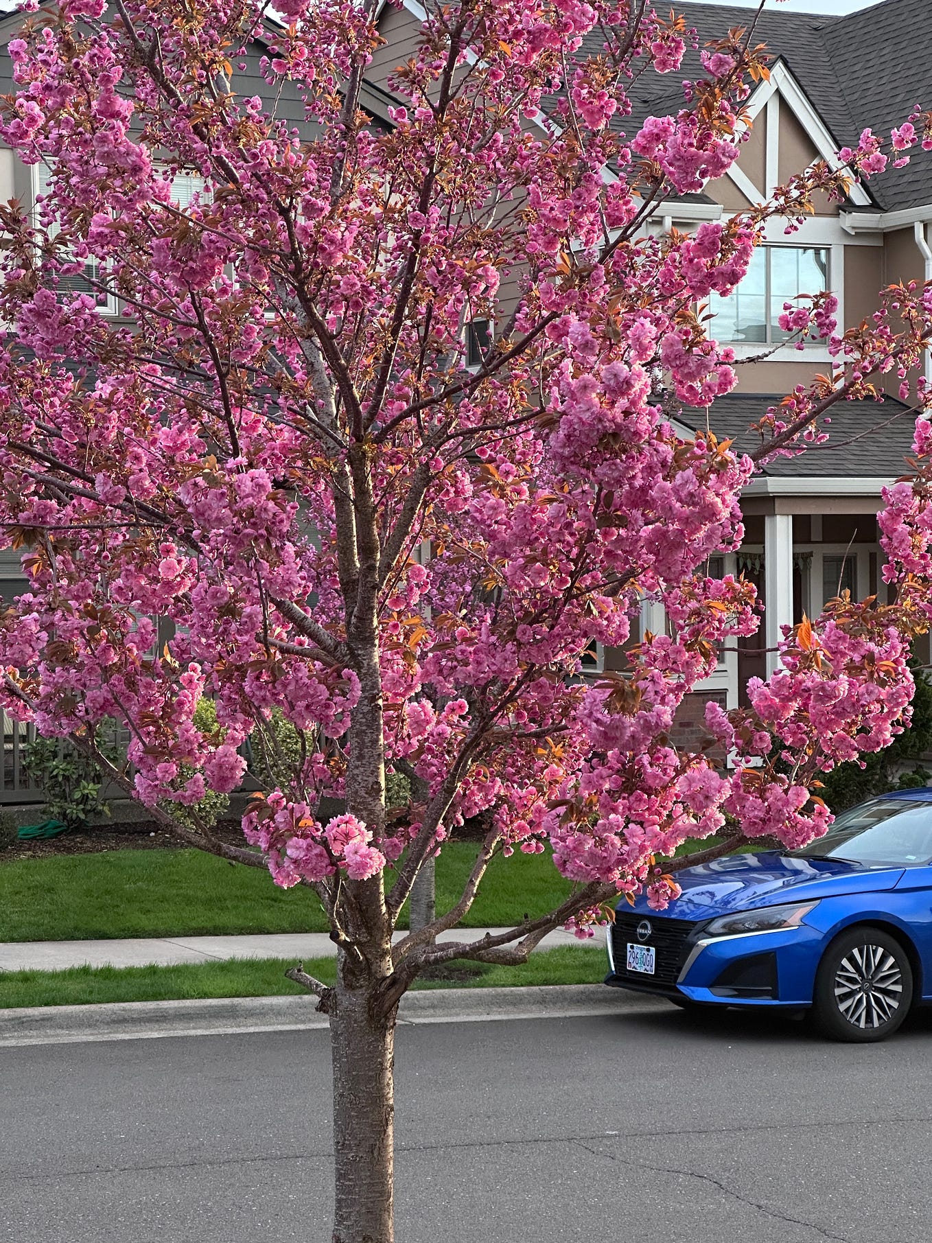 Creating Your First AI Program in Java | by Brothams | Medium